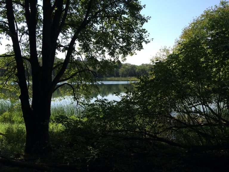 Star Lake Camp Protected Forever